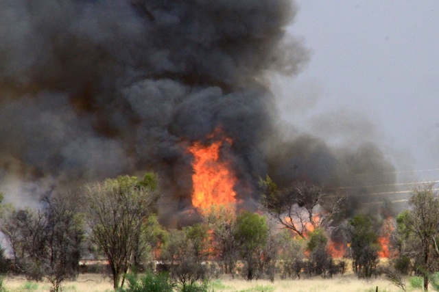 Higher fuel loads pose fire danger in CA | Tennant Creek Today